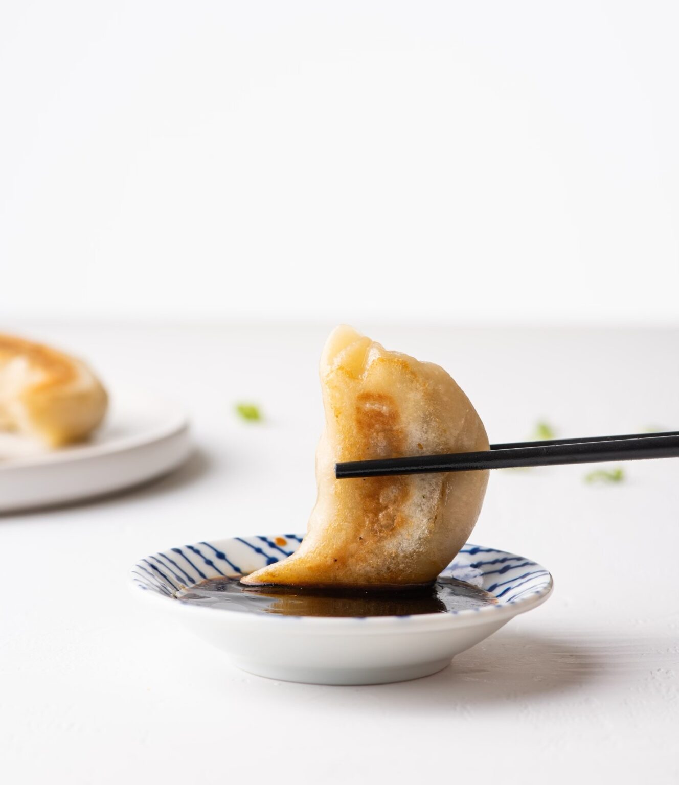 Brooklyn Dumpling Shops North Carolina